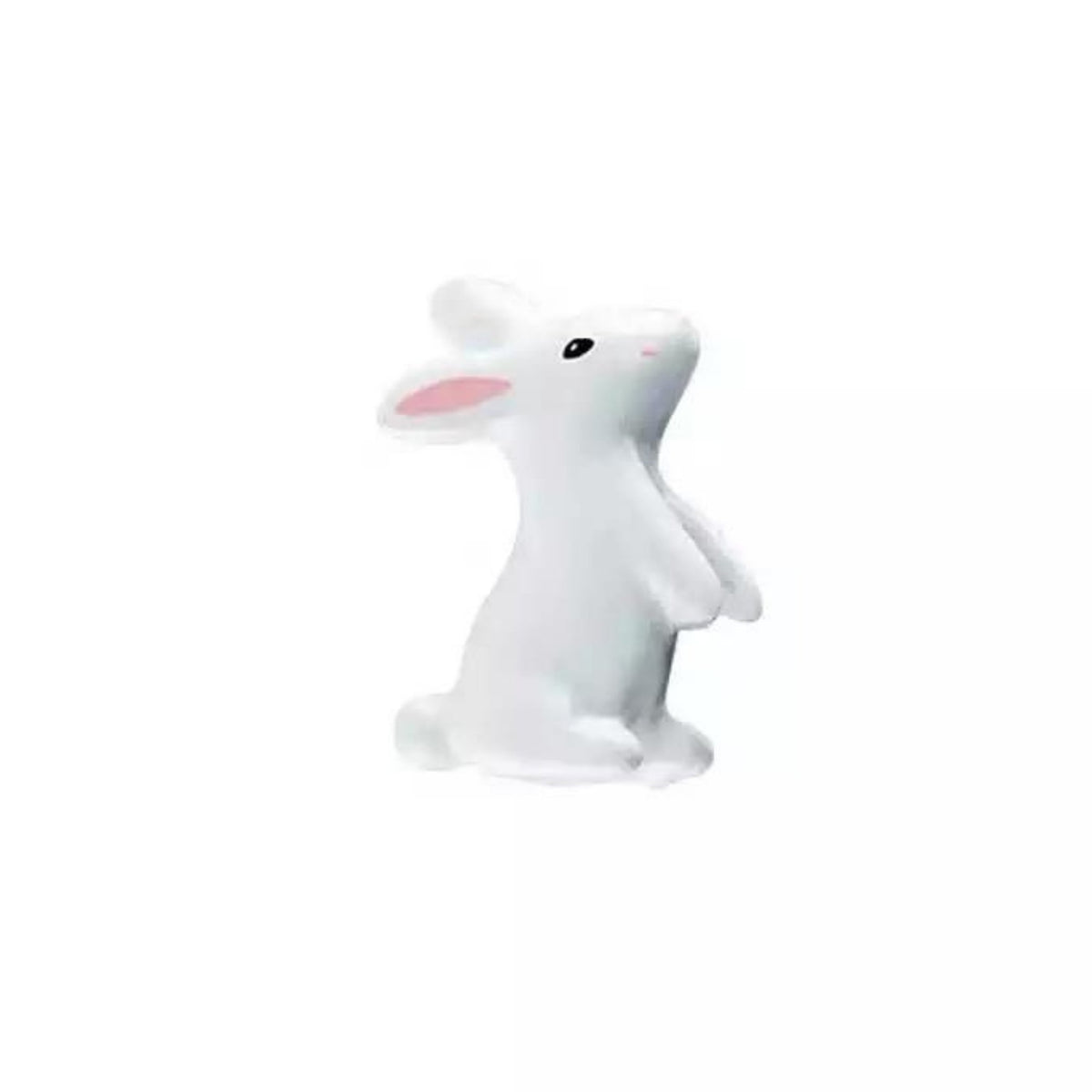 White Rabbit Memory Locket Charm – The Little Jewellery Company